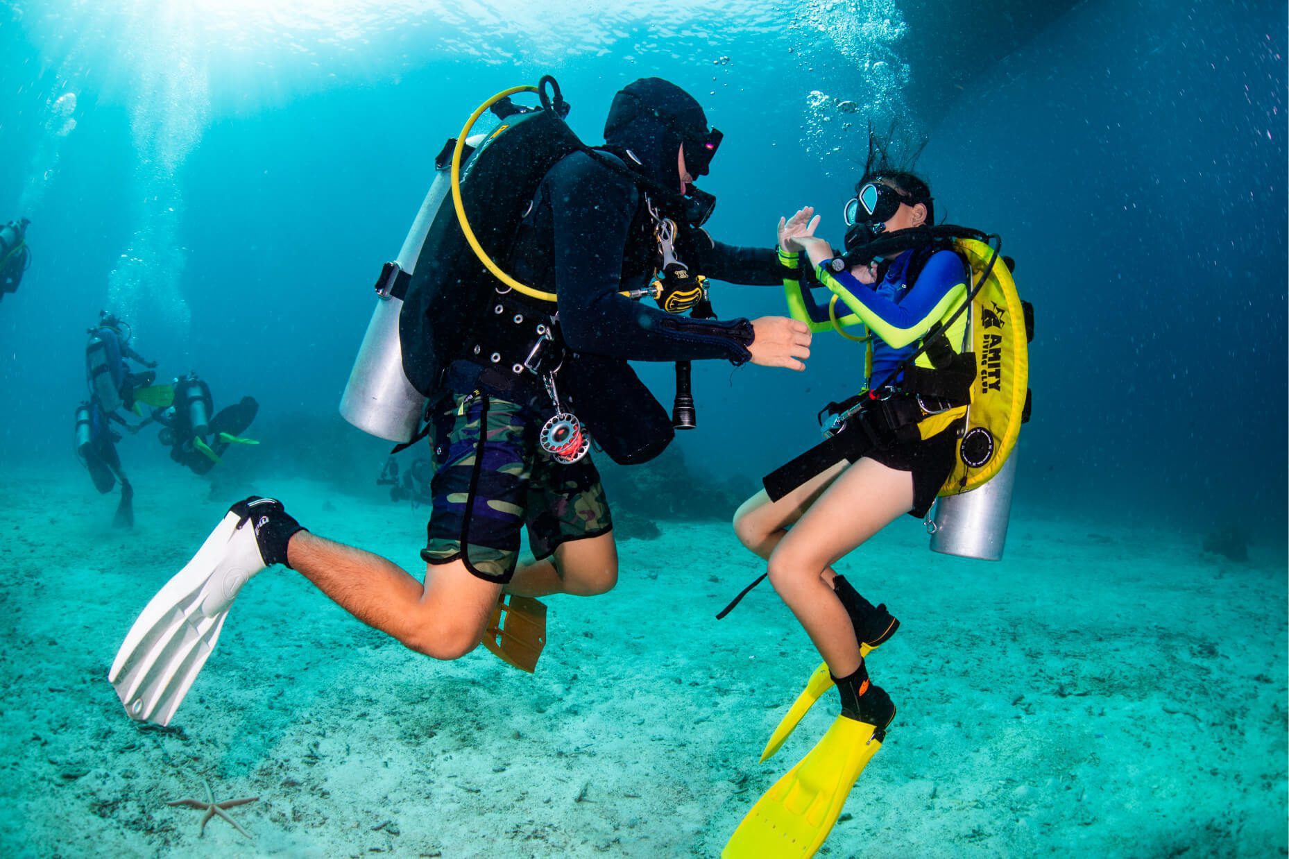 Home | Amity Diving Club